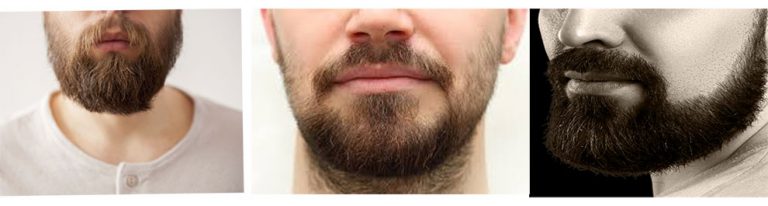 Different types of french beard styles - RazorHood